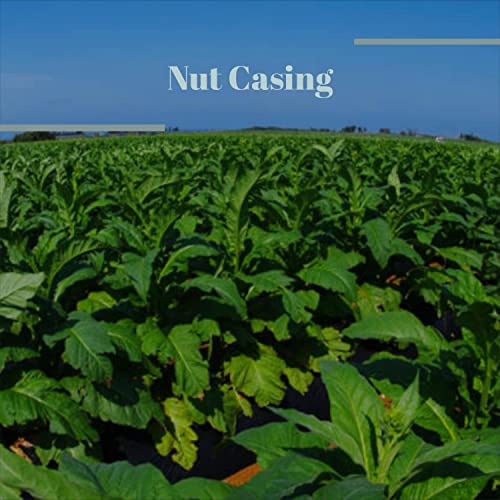 Play Nut Casing by VARIOUS ARTISTS on Amazon Music