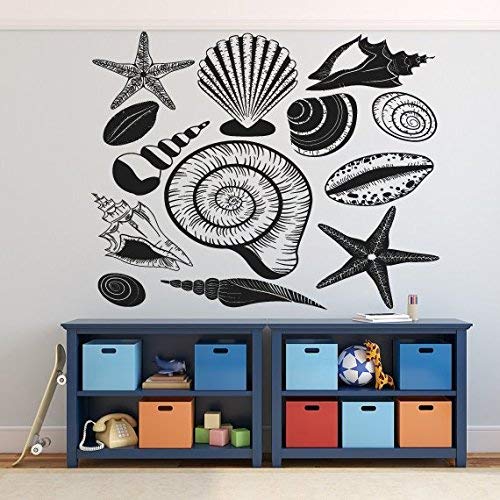 Amazon.com: shell wall decal ae390 : Handmade Products