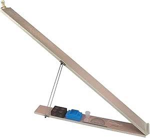 Amazon.com: Demonstration Ramp Model High School Large Demonstration ...