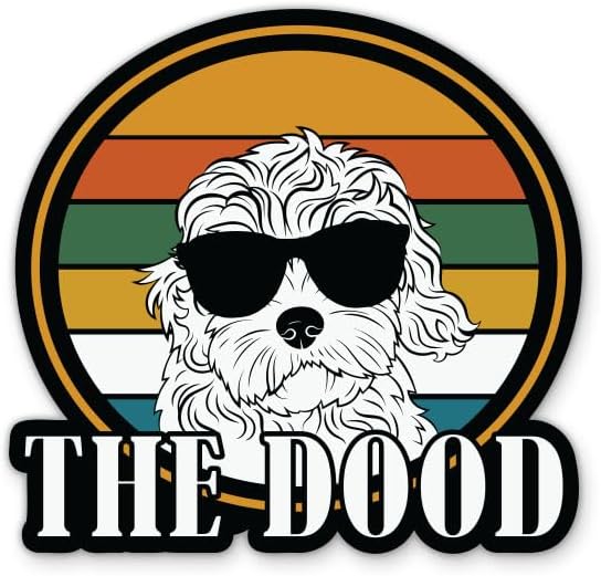 Amazon.com: The Dood Stickers - 2 Pack - Waterproof Vinyl for Car ...