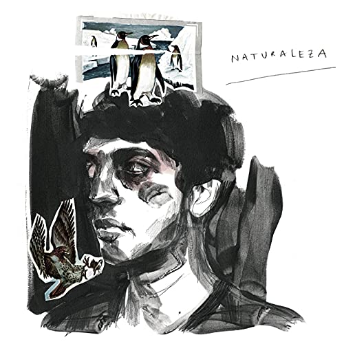 Amazon.com: Naturaleza : The New Raemon: Digital Music