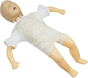 Amazon.co.jp: Anatomical Model Skeleton Model Baby Smoke Cardio ...