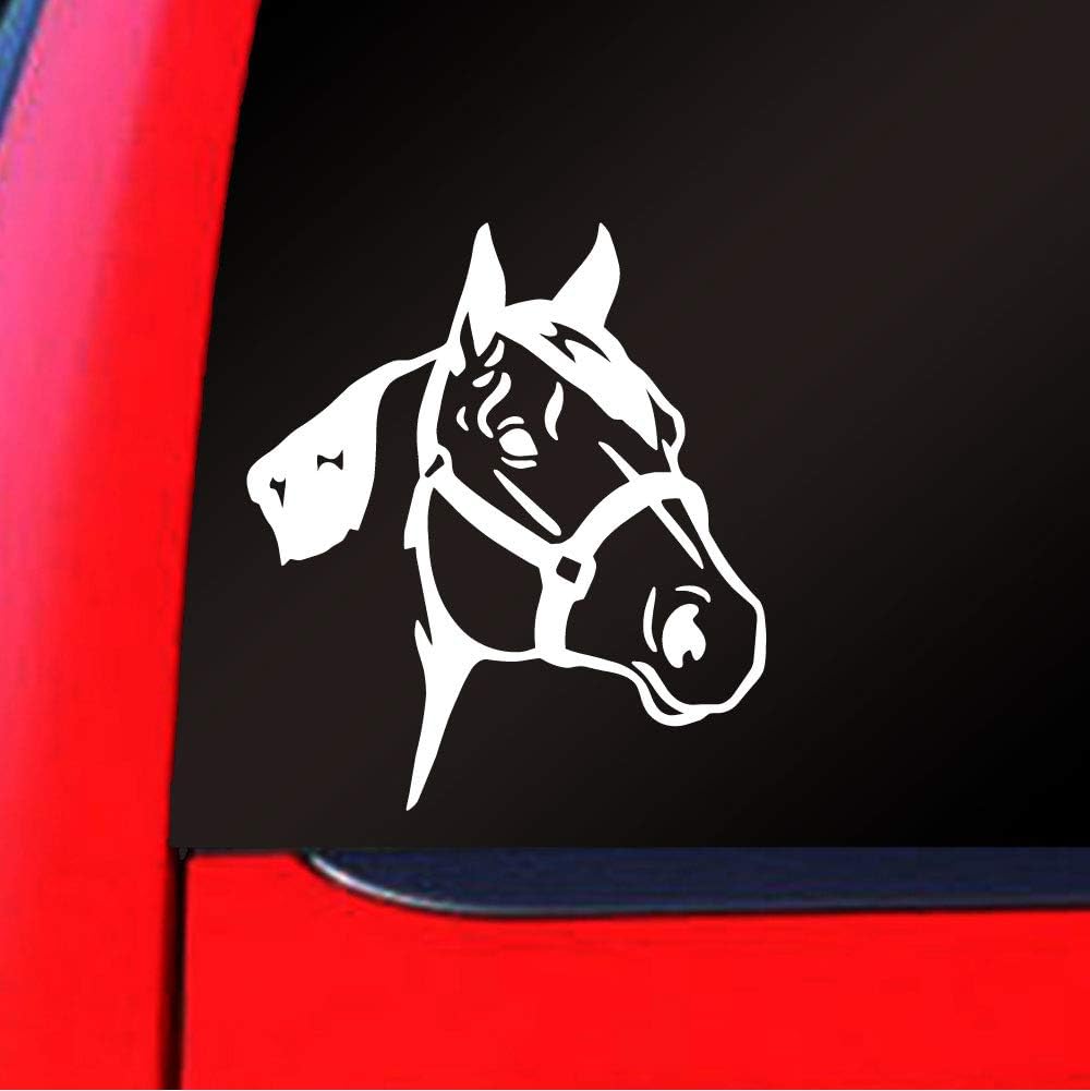 Amazon.com: Sassy Stickers Fly Fishing Decal Car Truck Bumper Window ...