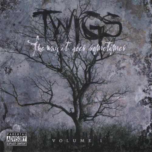 Amazon.com: Volume I [Explicit] : The Way It Goes Sometimes: Digital Music
