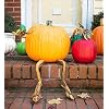 Amazon.com : Plow & Hearth Set of 4 Bendable Pumpkin Arms and Legs ...