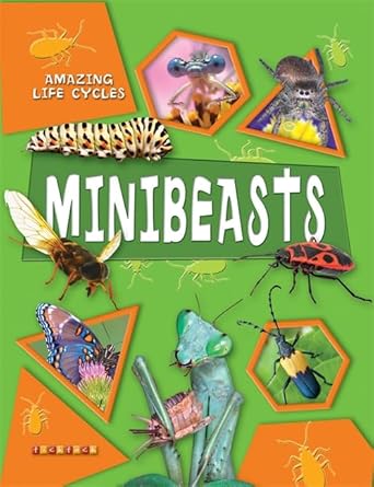 Amazing Life Cycles: Minibeasts: Amazon.co.uk: George McGavin ...