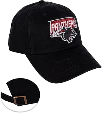 Amazon.com: Desert Cactus Clark Atlanta University Baseball Hat CAU ...