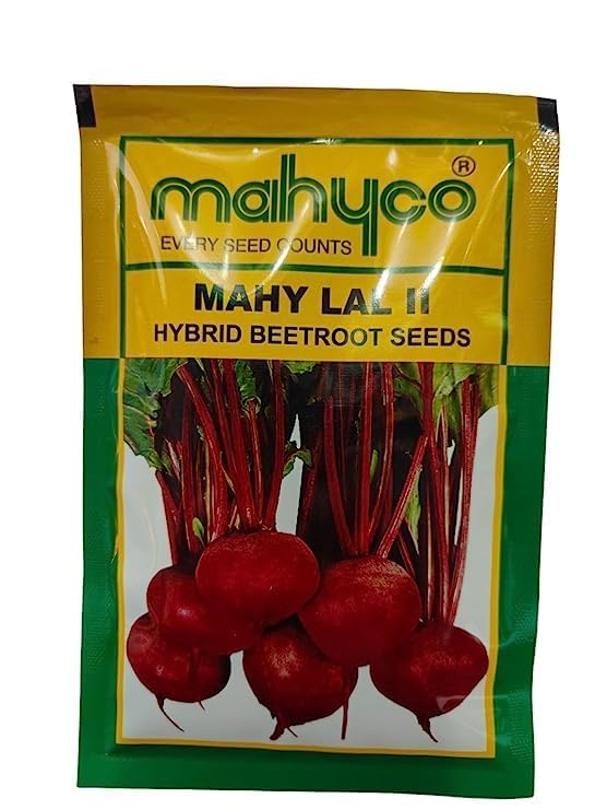 Mahyco Seeds Hybrid Beetroot Mahy lal II (50g) PACK OF 10 (500GRAM ...