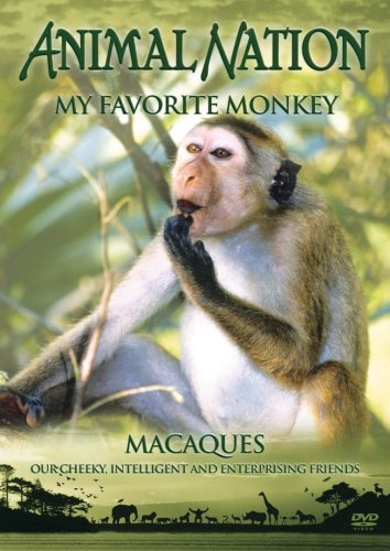 Amazon.com: Animal Nation - My Favourite Monkey: Macaques [Import ...