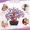Amazon.com: NUKAYAI Natural Amethyst Crystal Purple Money Tree for ...