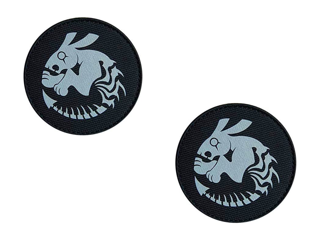 Buy ZYGZCJ 2 Pieces SCP Foundation Special Containment Procedures ...