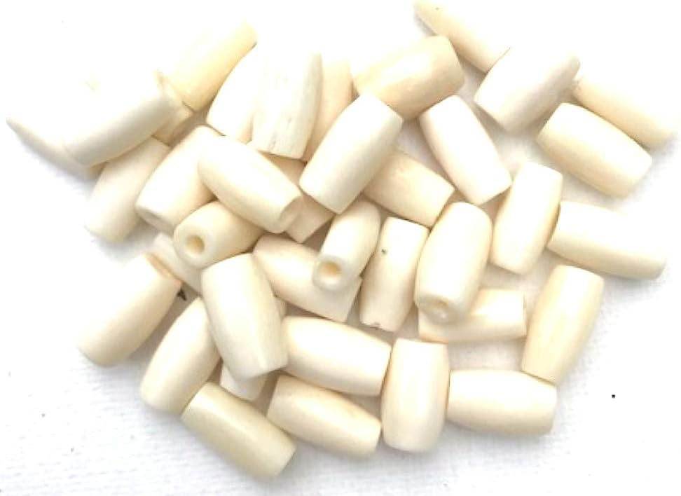 Amazon.com: Genuine Hairpipe Bone; White, Half Inch 50 pcs Hair Pipe ...