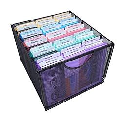 Amazon.com: Ultimate Office Portable File Box Desktop Organizer Heavy ...