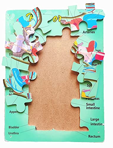 TECHBLAZE Wooden Human Digestive System Puzzle Board Learning ...