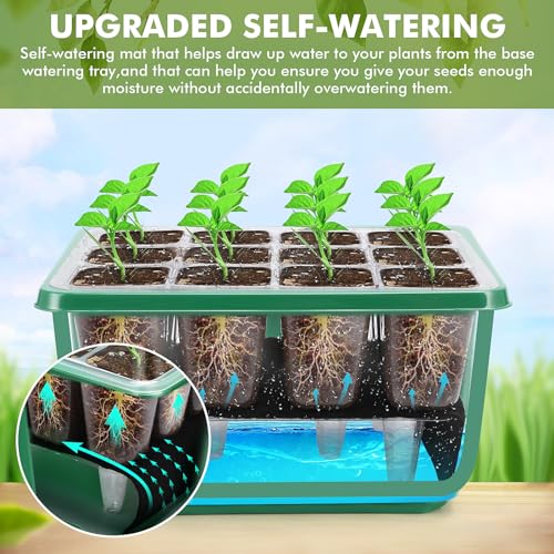 Seed Starter Tray,10 Packs 120 Cells Self Watering Seedling Starter ...