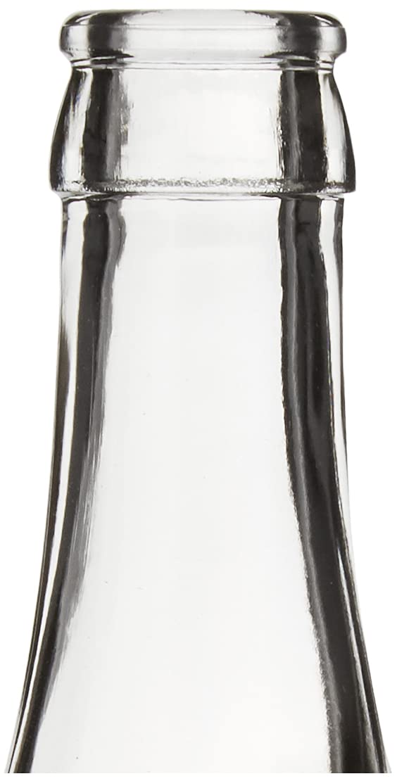 Botellas transparentes de champaña de 63 oz 24 unidades por caja – Yaxa ...