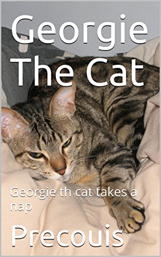 Georgie The Cat: Georgie the cat takes a nap (Georgie and his family ...