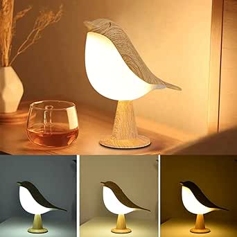 Small Cordless LED Night Light, Bird LED Table Lamp Bedside Lamps with ...