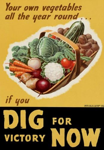 WB34 Vintage WW2 British Grow Your Vegetables Own Dig For Victory WWII ...