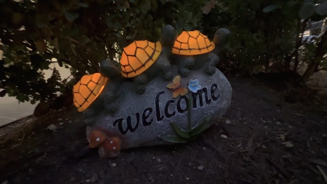 Watch Welcome Turtles on a Rock Solar Powered LED Outdoor on Amazon Live