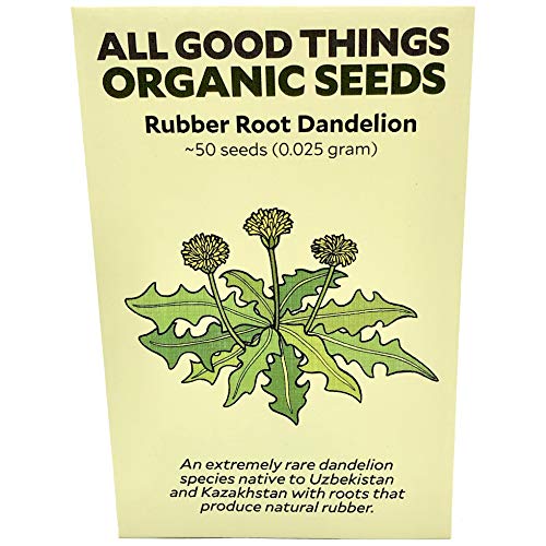 Buy Russian Dandelion/Kazakh Dandelion/Rubber Root (Taraxacum kok ...