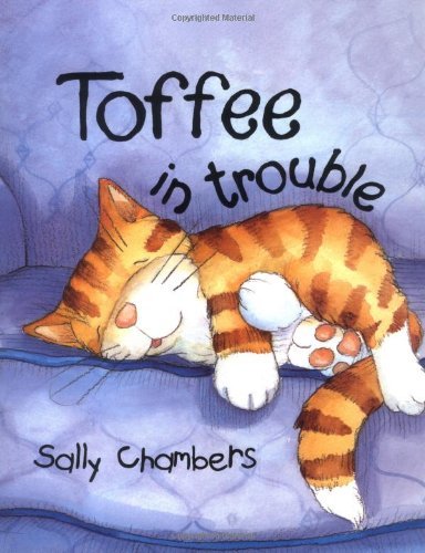 Toffee in Trouble: sally-chambers: 9781853405945: Amazon.com: Books