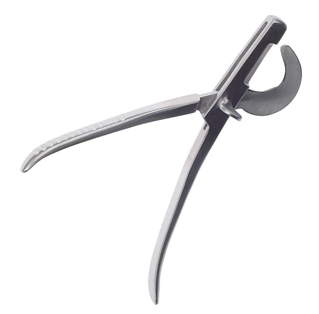 Amazon.com: SURGICAL ONLINE White Emasculator 12" Castation ...