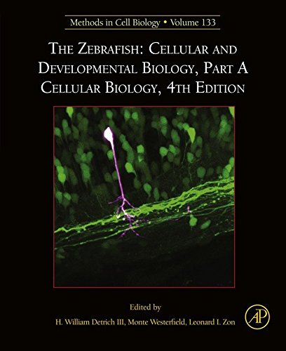 The Zebrafish: Cellular and Developmental Biology, Part A Cellular ...