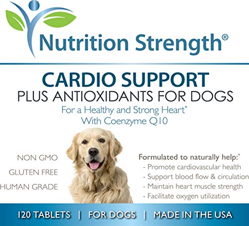 Nutrition Strength Cardio Support pour chiens plus antioxydant, L ...