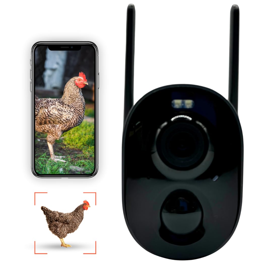 Amazon.com: Coop AI Smart Cam 1080p HD – Night Vision Security Camera ...