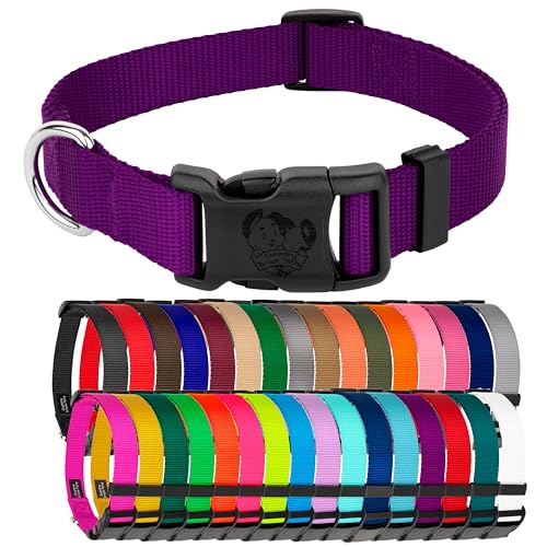 Purple Dog Collar – The 15 best products compared - Wild Explained