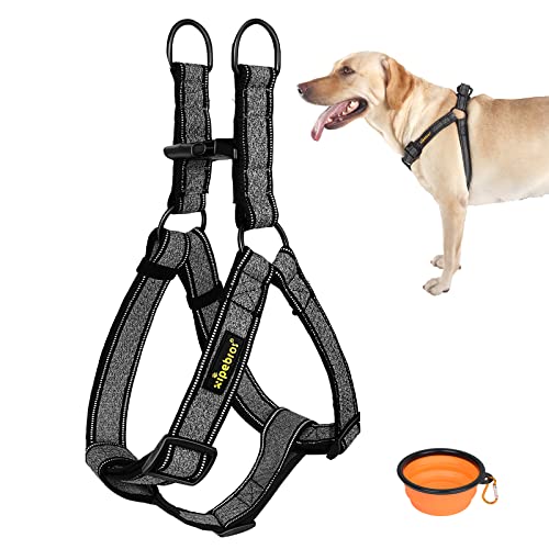 XXL Dog Harness – The 15 best products compared - Wild Explained