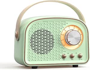 Retro Wireless Speaker With FM Radio, Rechargeable, Fast Recharge ...