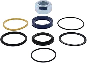 Amazon.com: Replacement For Fit With New Hydraulic Cylinder Seal Kit ...