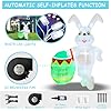 Amazon.com: 6FT Easter Inflatables Rabbit Decorations, with Easter Egg ...