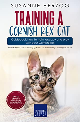 Training a Cornish Rex Cat – Guidebook how to train, occupy and play ...