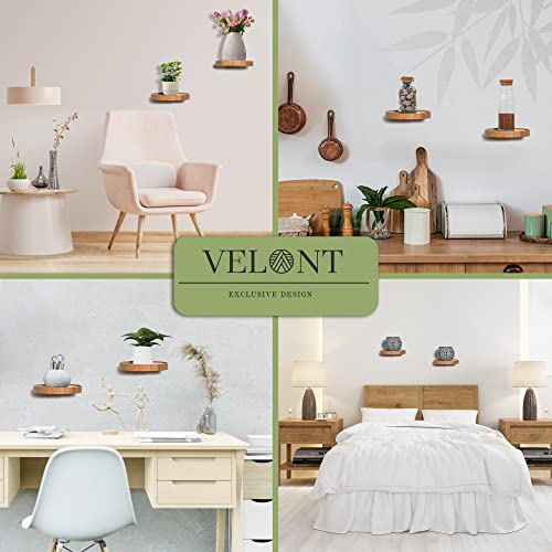 Wandregal mit Pflanzen – Die 15 besten Produkte im Vergleich ...