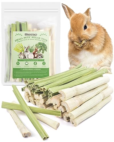 10 Best Rabbit Chews for Healthy Teeth and Happy Bunnies: Review and ...