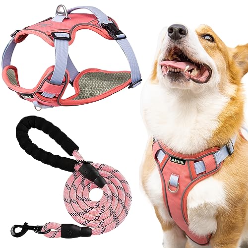 Rei Dog Harness – The 15 best products compared - Wild Explained