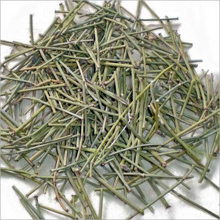 KAROLANE® Somlata Asmania Somalata Soma Khanta Ephedra Gerardiana ...