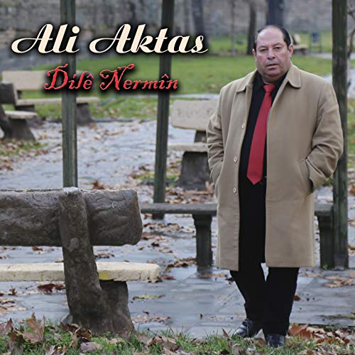Play Dılé Nermin by Ali Aktaş on Amazon Music