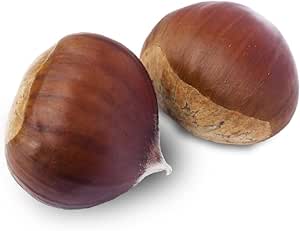 Amazon.com : EZ Growing Plants (3 Gallon) Chinese Chestnut Tree-Great ...