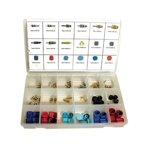 TSI Supercool Universal AC Valve CORE & Cap Assortment : Amazon.in: Car ...