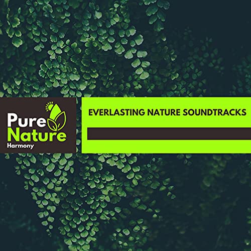 Amazon Music Unlimited - Sounds of Nature Noise & Nature Sound Series ...