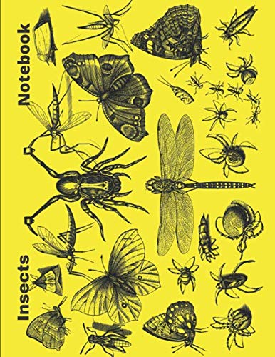 Amazon.com: Insects Notebook: Yellow soft cover notebook, 110 ruled ...