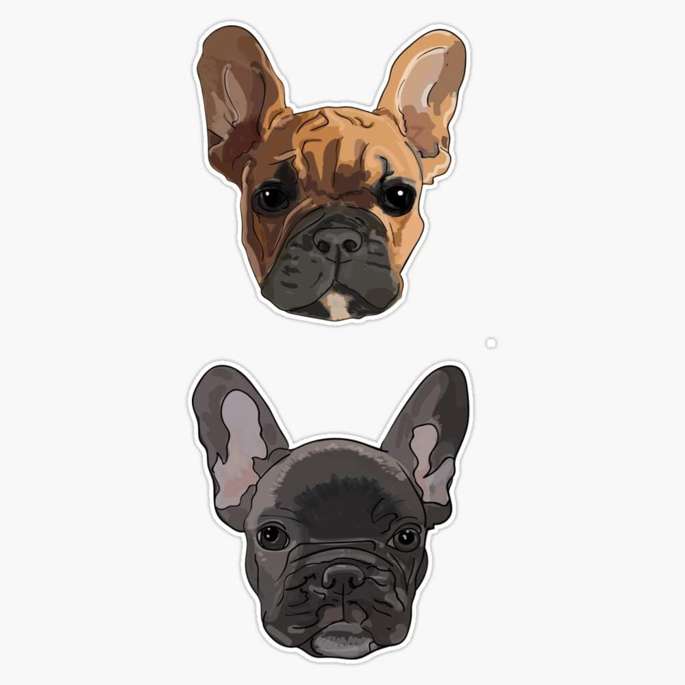 Amazon.com: Frenchies Vinyl Sticker Laptop Decal Waterproof 5" : Automotive