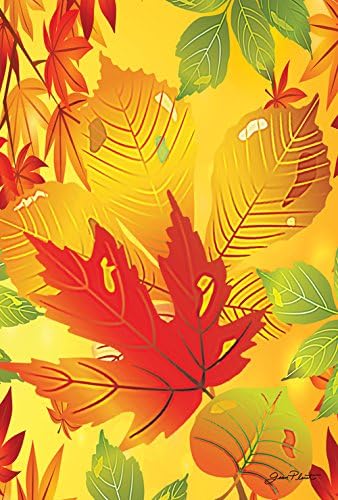 Amazon.com : Toland Home Garden 112536 Welcome Friends Fall Flag 12x18 ...