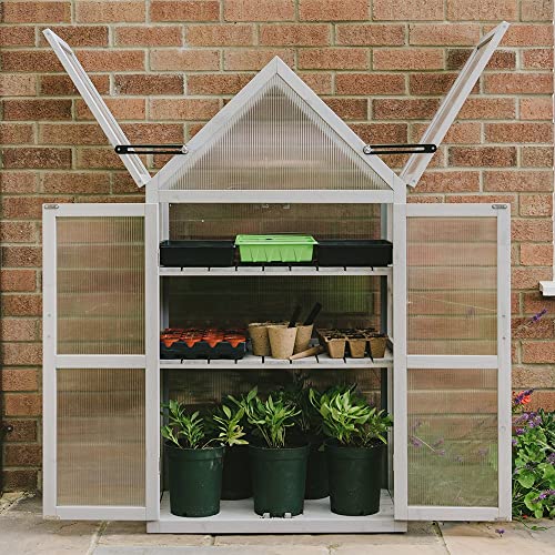 Top 6 Best Mini Greenhouses - Buyer Guide & UK Review