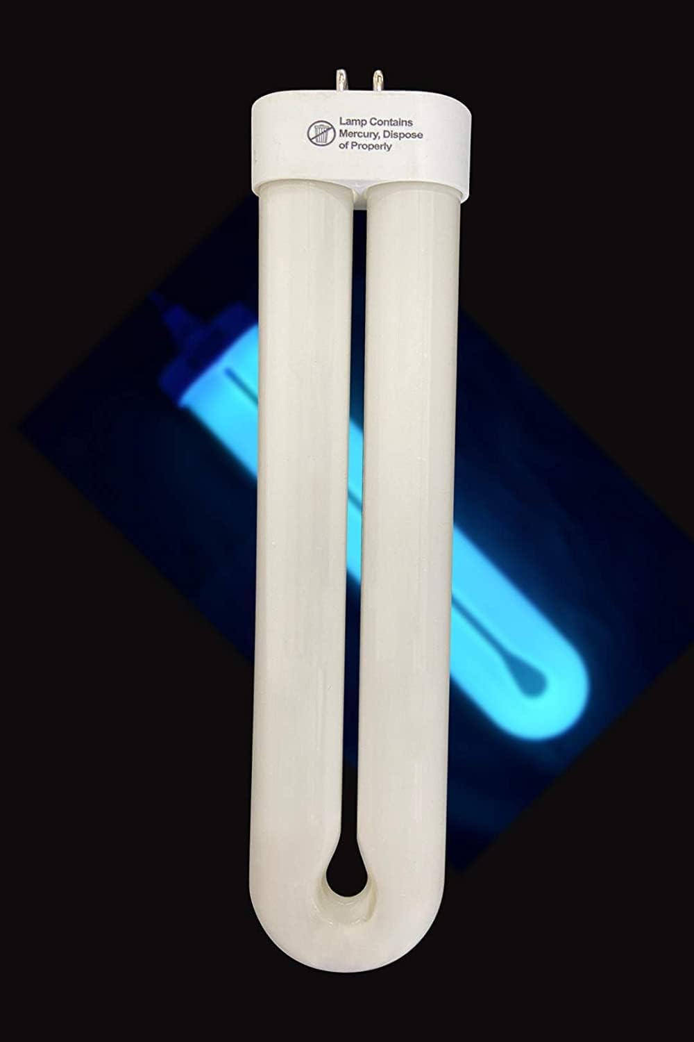 Amazon.com: Celiwace 7.7 Inch BF35 Replacement Bulb 15 Watt for BK-15D ...