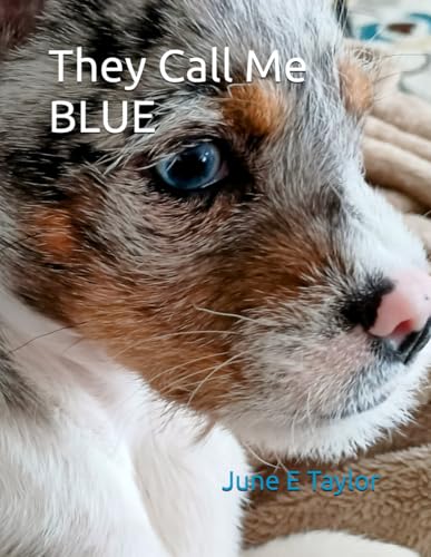 They Call Me BLUE: Taylor WA, June E: 9798294878917: Amazon.com: Books